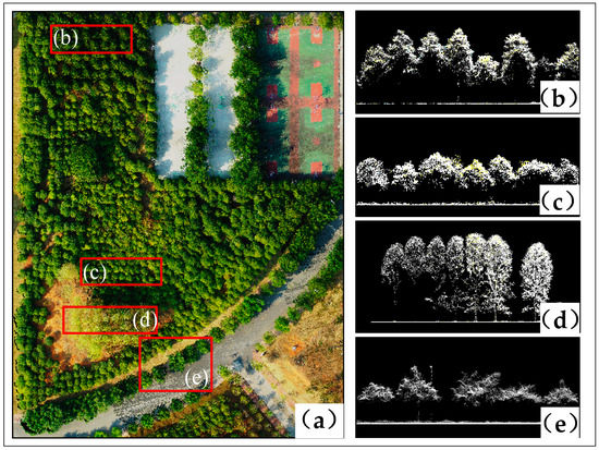 Study on Individual Tree Segmentation of Different Tree Species Using Different Segmentation ...