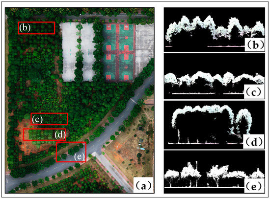 Study on Individual Tree Segmentation of Different Tree Species Using ...