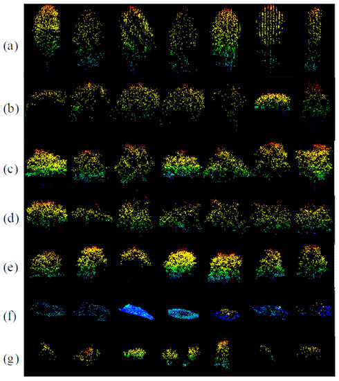 Study on Individual Tree Segmentation of Different Tree Species Using ...