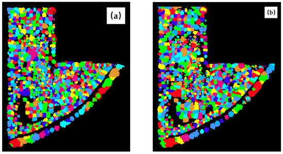 Study on Individual Tree Segmentation of Different Tree Species Using ...