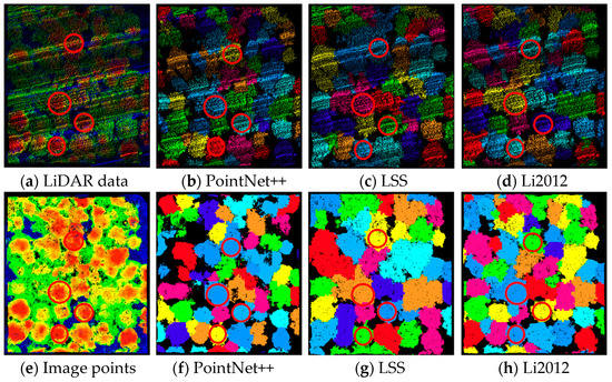 Study on Individual Tree Segmentation of Different Tree Species Using ...