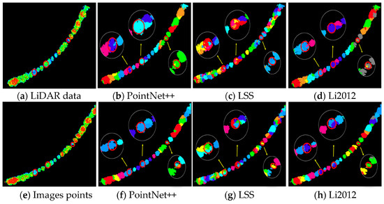 Study on Individual Tree Segmentation of Different Tree Species Using ...