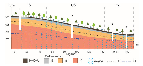 Labile and Stable Fractions of Organic Carbon in a Soil Catena (the ...