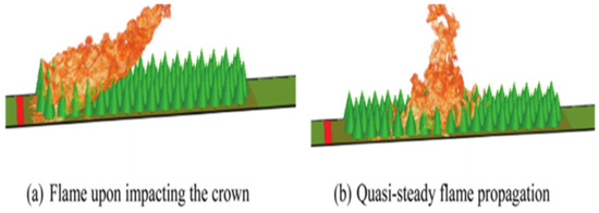 Forest Fire Spread Simulation and Fire Extinguishing Visualization Research