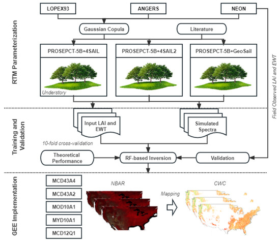 Forest Canopy Water Content Monitoring Using Radiative Transfer Models ...