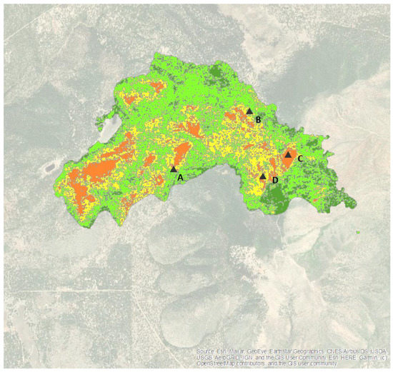 Arthropod Recolonization of Soil Surface Habitat in Post-Fire Mulch ...