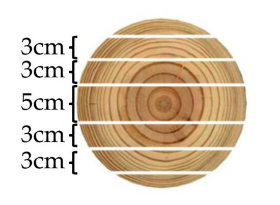 Effects of Growth Ring Width, Height from Tree Base, and Loading ...