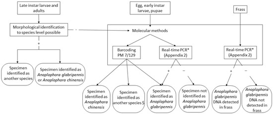 International Cooperation to Support the Diagnosis of Forestry Pests: The Role of EPPO and Euphresco