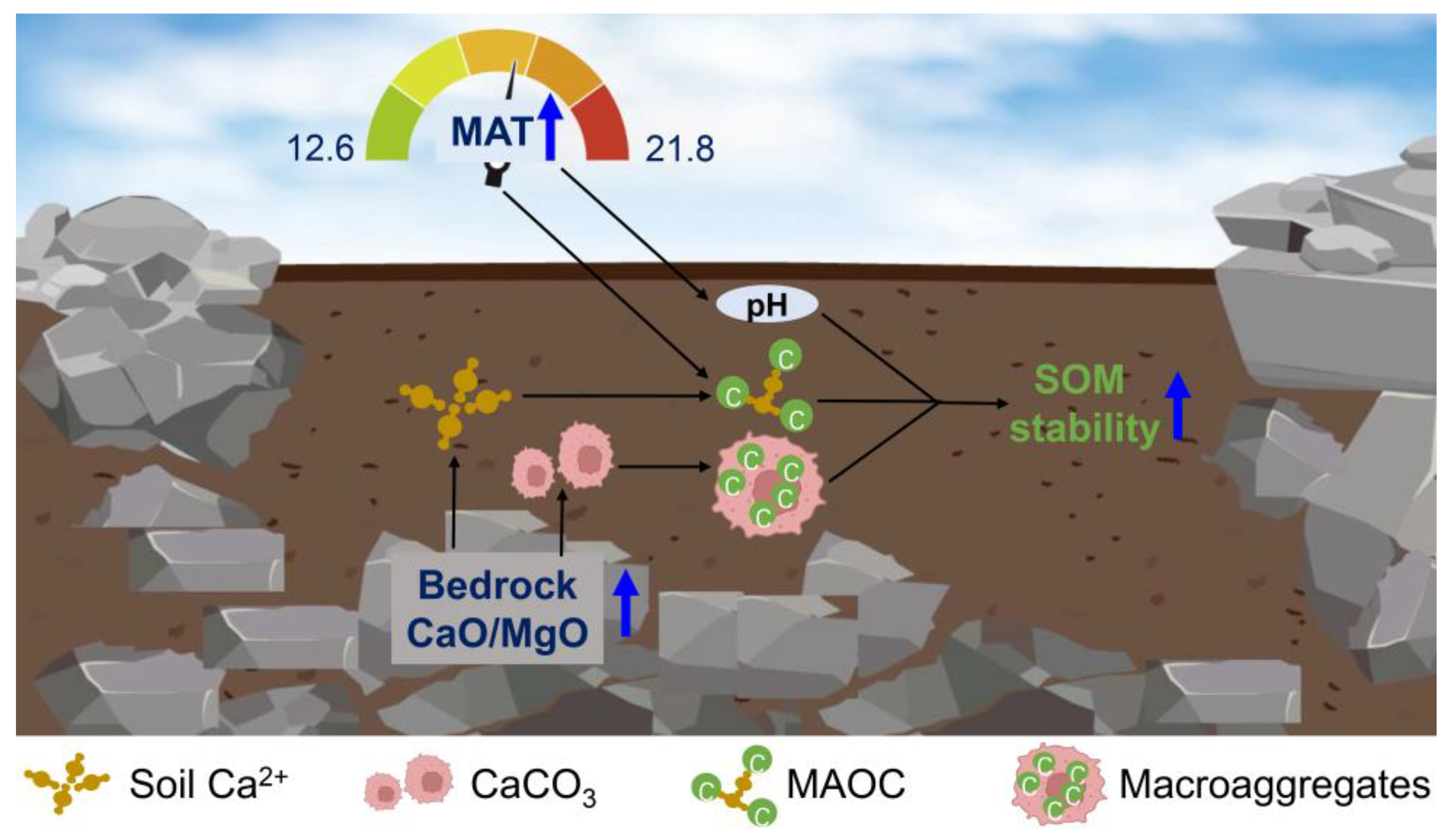The Role of Bedrock Geochemistry and Climate in Soil Organic Matter ...
