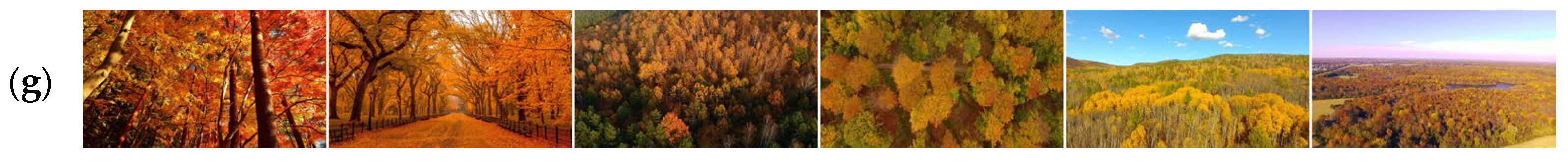 Wildfire Detection via a Dual-Channel CNN with Multi-Level Feature Fusion