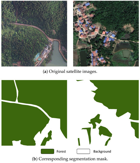 Forests | Free Full-Text | SegForest: A Segmentation Model for Remote ...