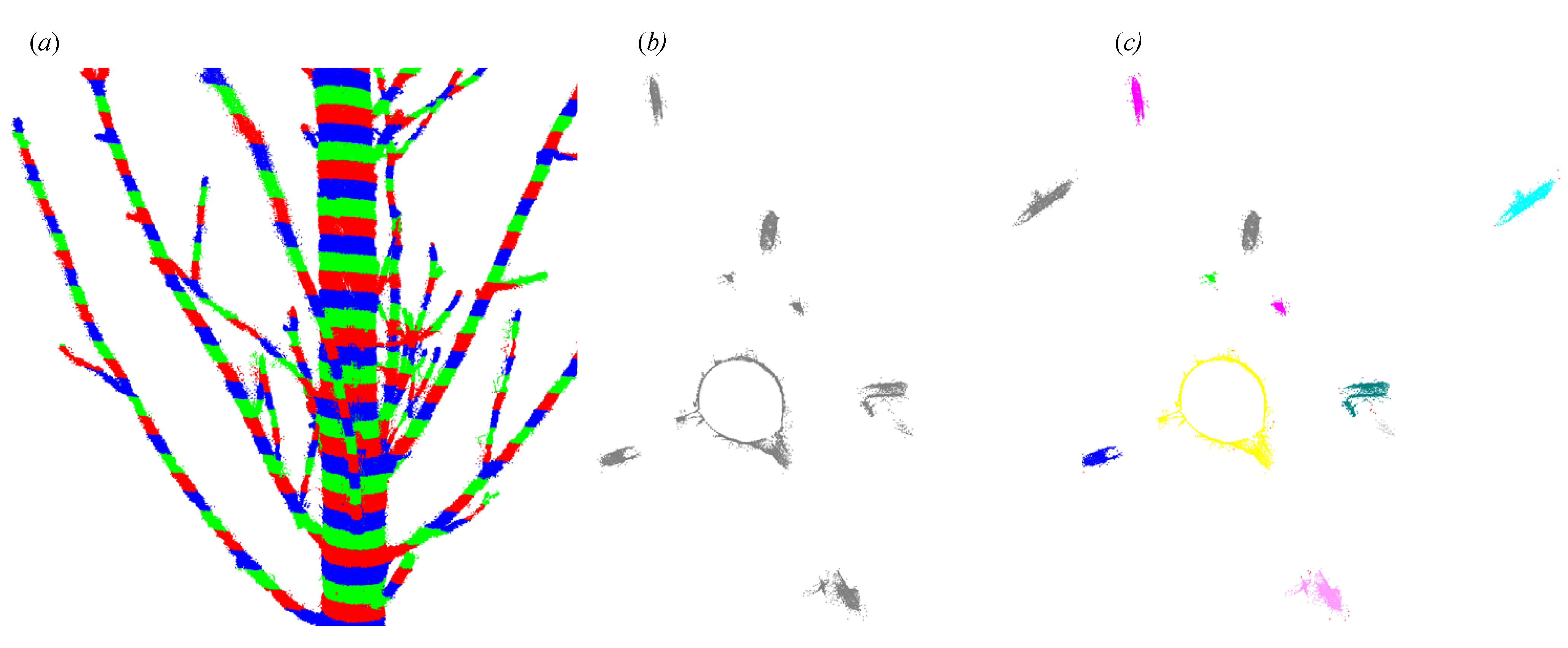 Tree Skeletonization with DBSCAN Clustering Using Terrestrial Laser Scanning Data
