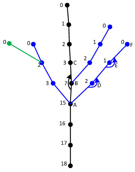 Tree Skeletonization with DBSCAN Clustering Using Terrestrial Laser Scanning Data