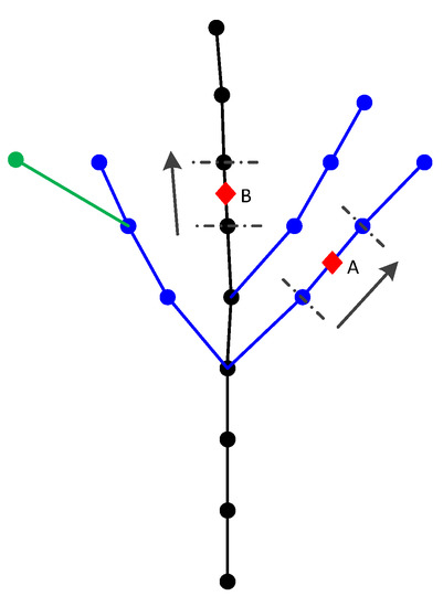 Tree Skeletonization with DBSCAN Clustering Using Terrestrial Laser Scanning Data