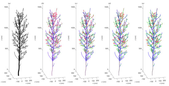 Tree Skeletonization with DBSCAN Clustering Using Terrestrial Laser Scanning Data