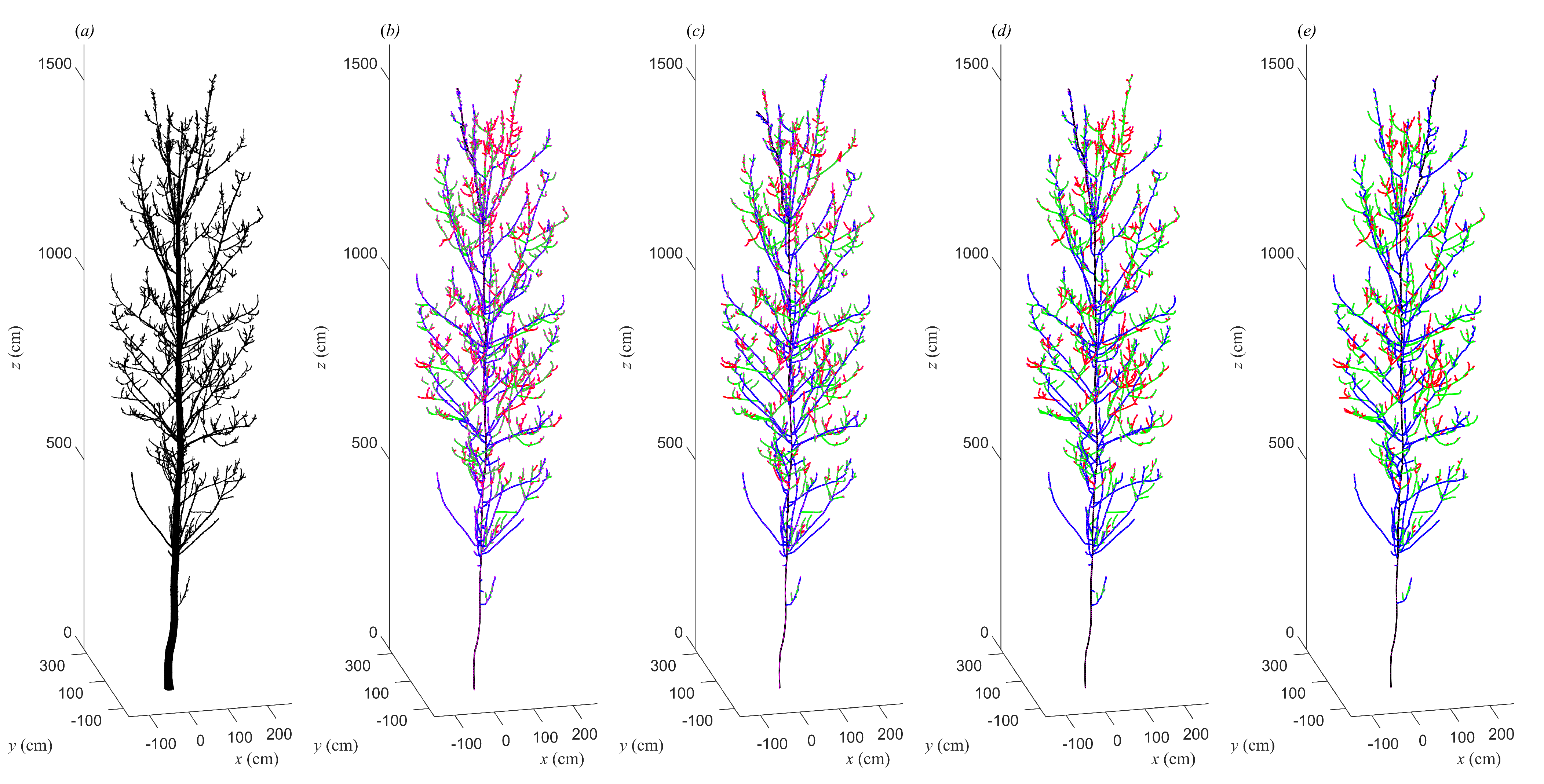 Tree Skeletonization with DBSCAN Clustering Using Terrestrial Laser Scanning Data