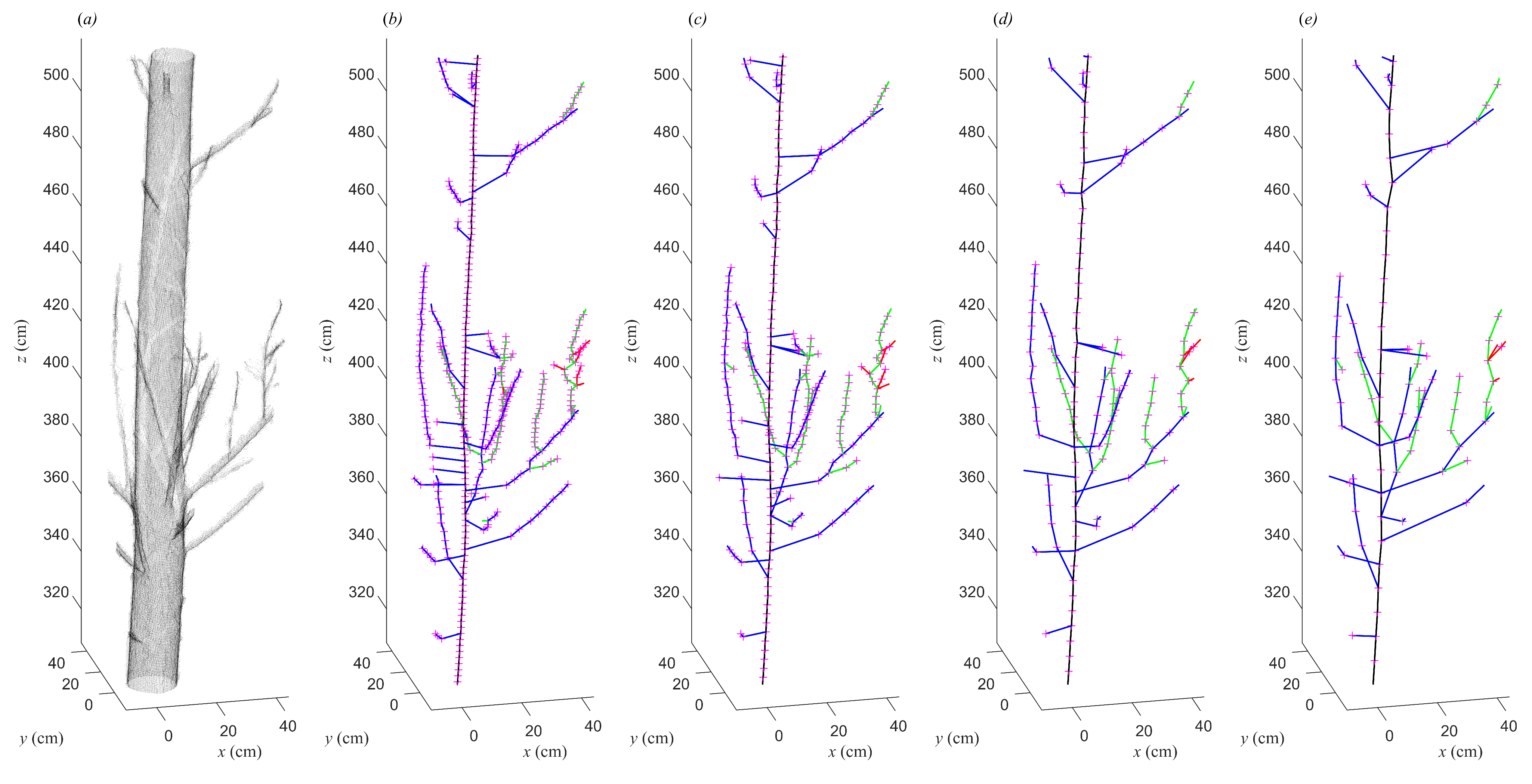 Tree Skeletonization with DBSCAN Clustering Using Terrestrial Laser Scanning Data