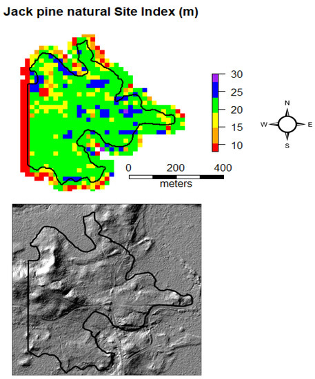 Assessing Site Productivity via Remote Sensing—Age-Independent Site ...