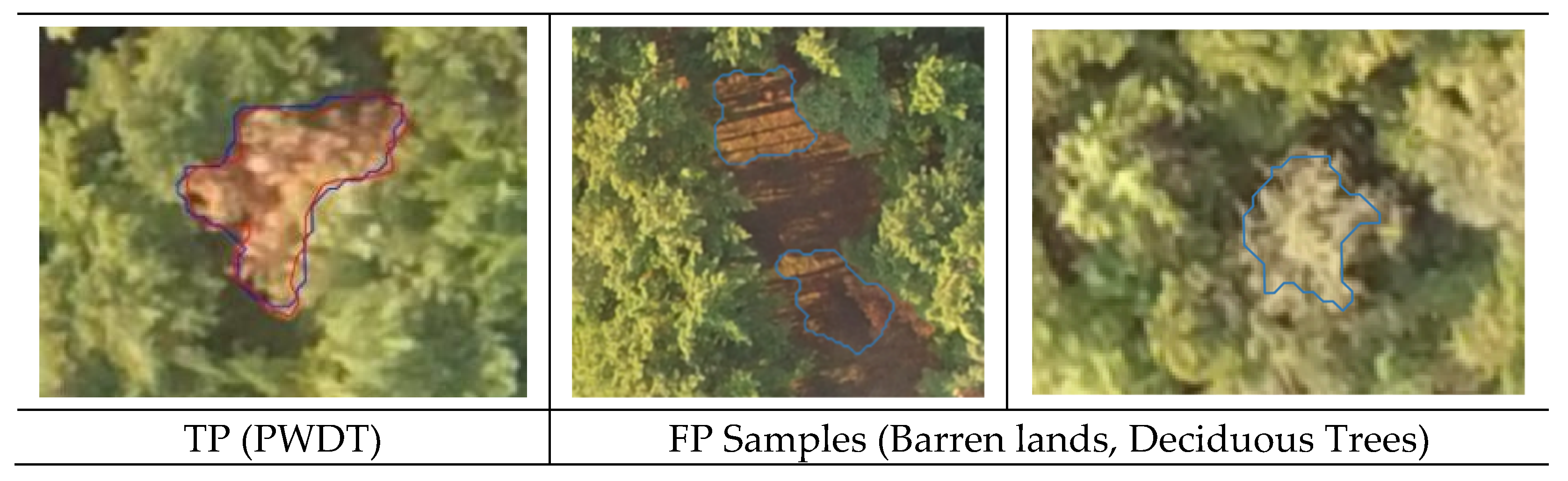 Detection of Pine Wilt Disease Using Time Series UAV Imagery and Deep Learning Semantic Segmentation