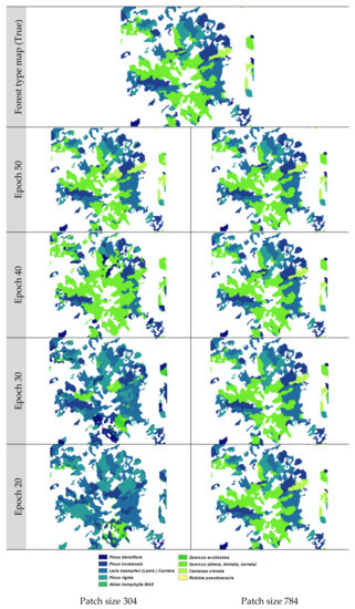 Forests | Free Full-Text | Deepening the Accuracy of Tree Species ...