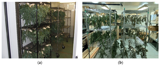 Integrating the Rate of Moisture Loss into Needle Retention Testing to ...