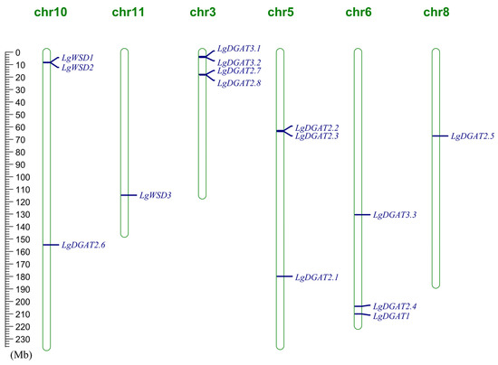 Genome-Wide Identification and Analysis of the DGAT Gene Family in ...