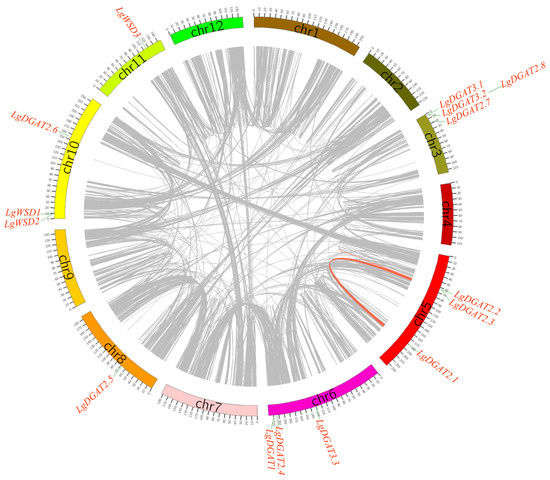 Genome-Wide Identification and Analysis of the DGAT Gene Family in ...