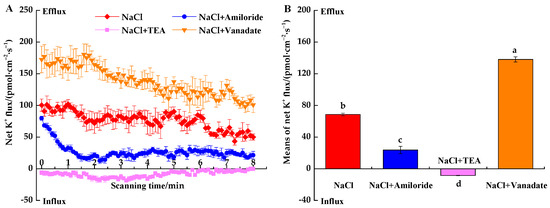 Salt-Stress-Induced Ion Transport Contributes to K+/Na+ Homeostasis in ...