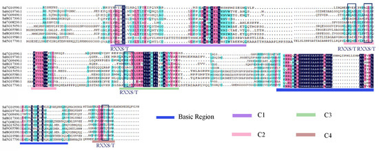 Identification and Characterization of the AREB/ABF/ABI5 Gene Family in Sandalwood (Santalum ...