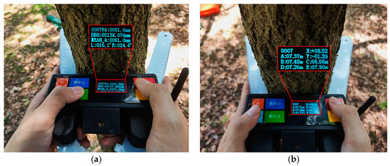 Forests | Free Full-Text | Method and Device for Measuring the Diameter ...