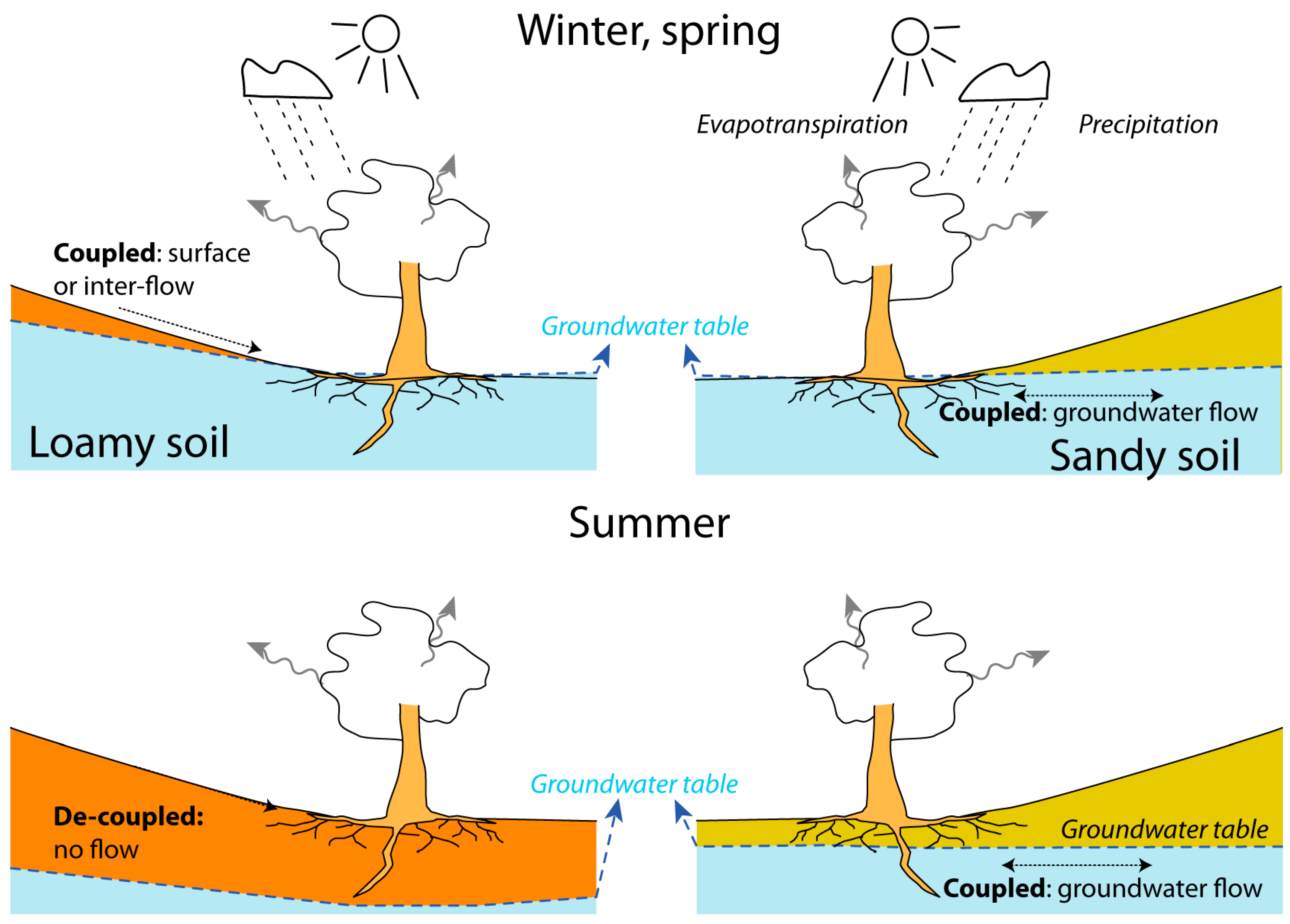 Hydrological Coupling and Decoupling of Hydric Hemiboreal Forest Sites ...