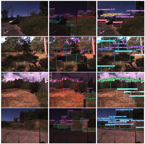 Forests Free Full Text Forest Vegetation Detection Using Deep Learning Object Detection Models