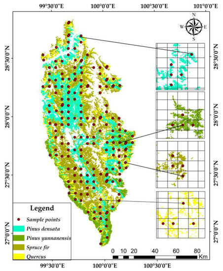 Sampling Estimation And Optimization Of Typical Forest Biomass Based On Sequential Gaussian