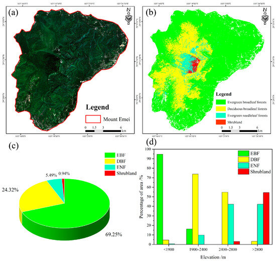 Mountain Forest Type Classification Based on One-Dimensional ...