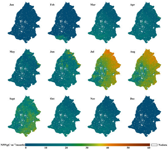 Forests | Free Full-Text | Quantifying the Spatiotemporal Variation of ...