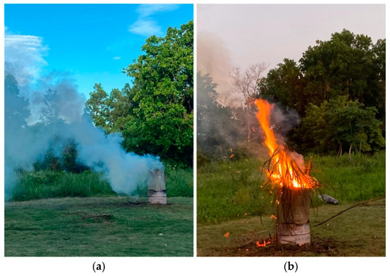 Accuracy Assessment of Drone Real-Time Open Burning Imagery Detection ...