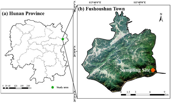 Assessment of Soil Quality in the Transformation from Pure Chinese Fir ...