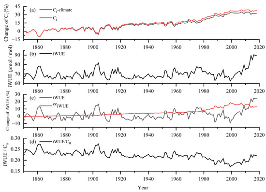 Responses of Tree Growth and Intrinsic Water Use Efficiency to Climate ...