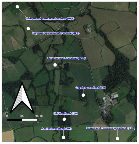 Evaluating the Impact of Long-Term Land Use Change and Age since ...