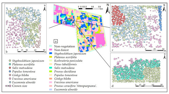 Detection of Tree Species in Beijing Plain Afforestation Project Using ...