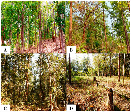 Species Composition and Diversity of Plants along Human-Induced Disturbances in Tropical Moist ...