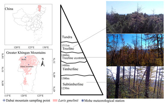 Expansion of Treeline in North China and Its Relationship with Altitude ...
