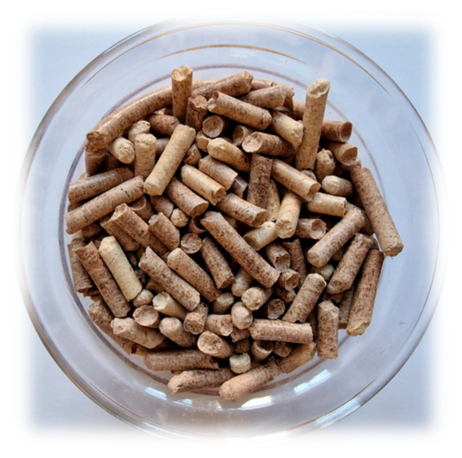 Forests | Free Full-Text | A Comparison of the Qualitative ...