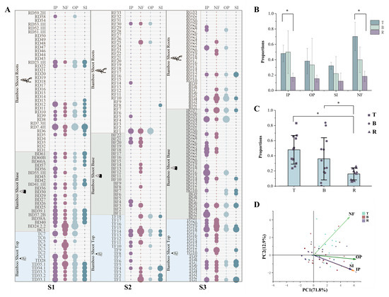 Bioprospecting Plant-Growth-Promoting Endophytic Bacteria Isolated from ...