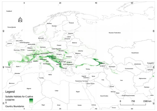 Potential Distribution and Suitable Habitat for Chestnut (Castanea sativa)