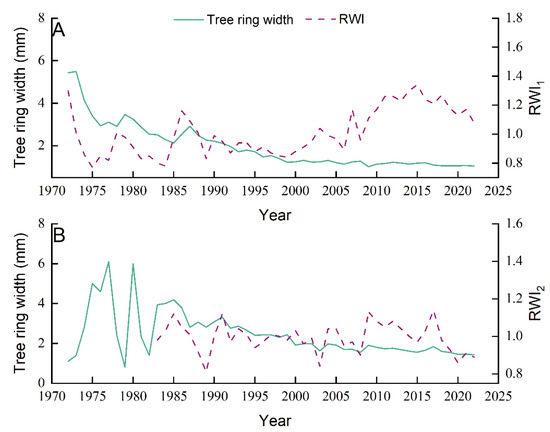 Tree Ring Width Responses of Pinus densiflora and Robinia pseudoacacia ...