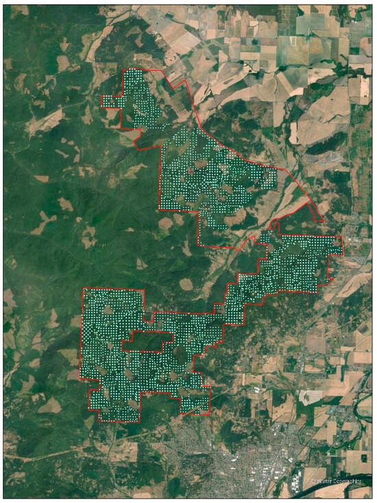 Modeling Above-Ground Carbon Dynamics under Different Silvicultural ...