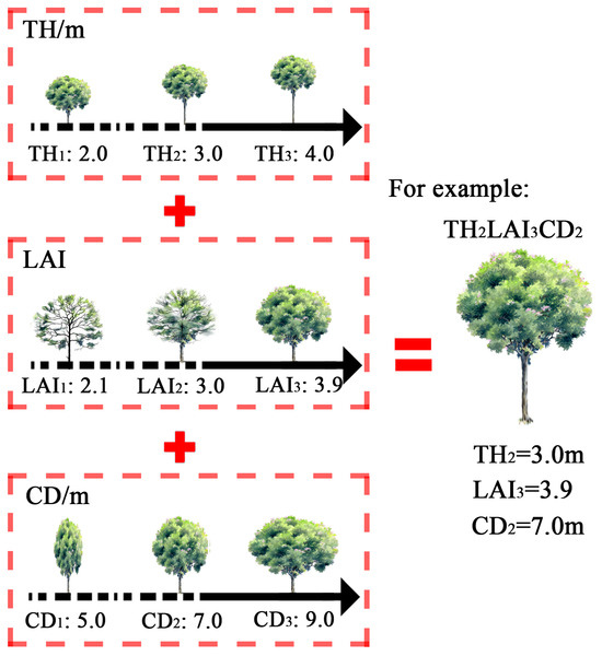 Impact of Canopy Coverage and Morphological Characteristics of Trees in ...