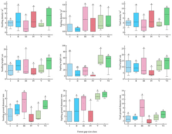 Effects of Gap Size on Natural Regeneration in Picea asperata Forests ...