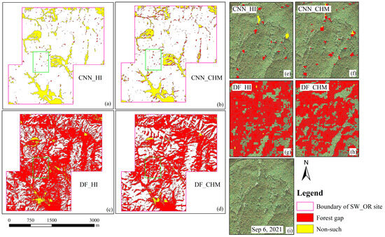 Forest Gap Extraction Based on Convolutional Neural Networks and ...